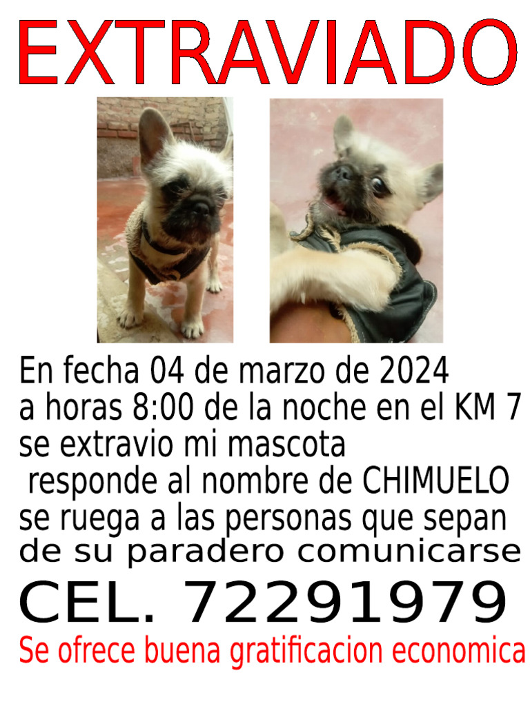 Perro Perdido | PDF