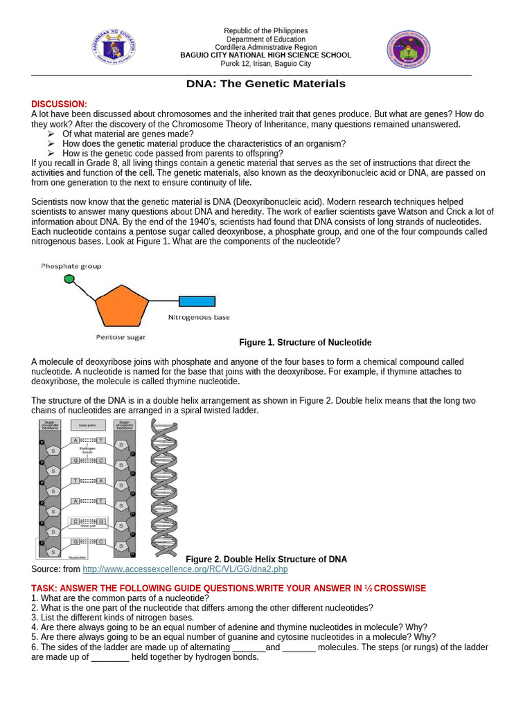 The Genetic Material Final | PDF