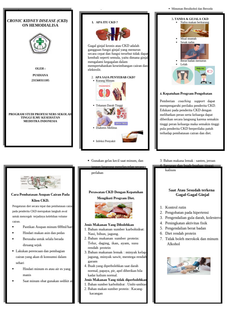 Leaflet CKD | PDF
