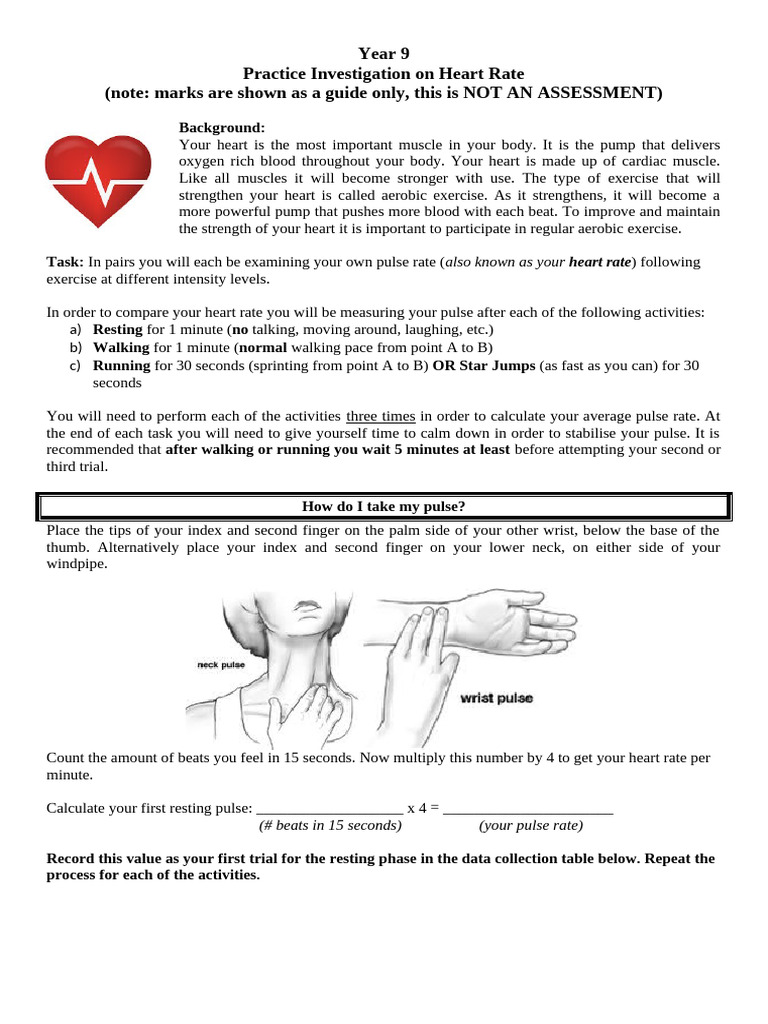 W8 L3 Practice Heart Rate Investigation | PDF