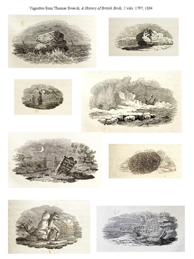 Vignettes From Bewick's Birds | PDF