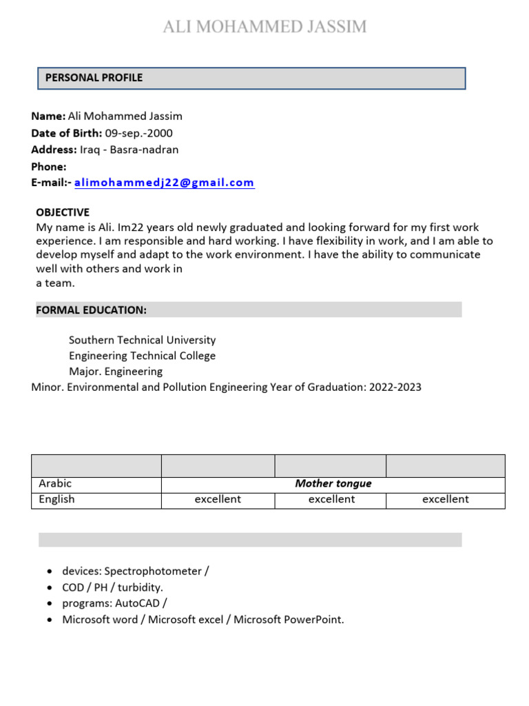 Ali Mohammed Jassim: Personal Profile | PDF