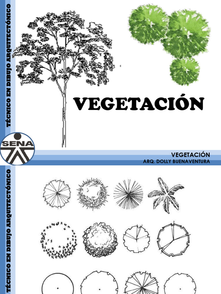 Dibujo de Vegetación Arquitectónica | PDF | Periodismo visual | Hogar ...