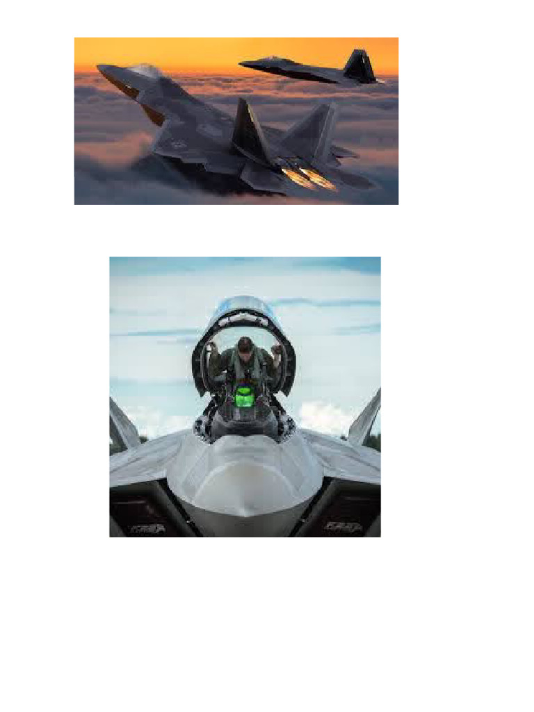 f22 Raptor | PDF