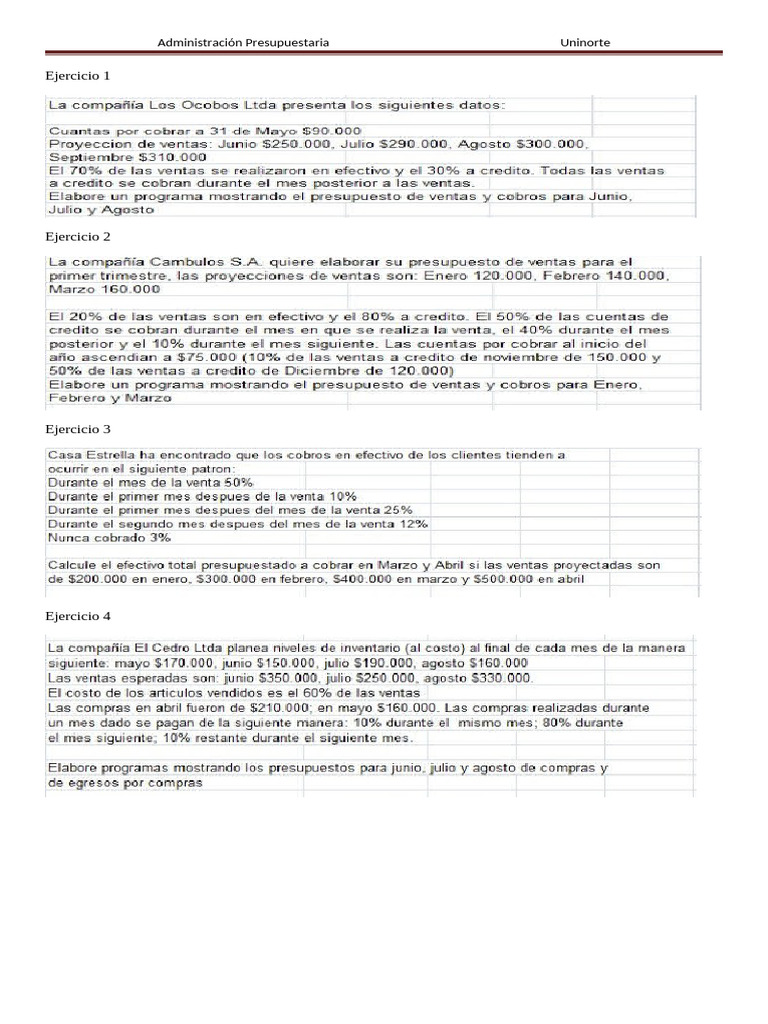 Ejercicio A RESOLVER 2 2024 | PDF | Presupuesto | Finanzas y dinero