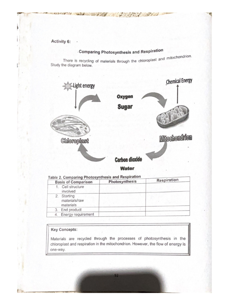 Activity G9 Life Energy | PDF