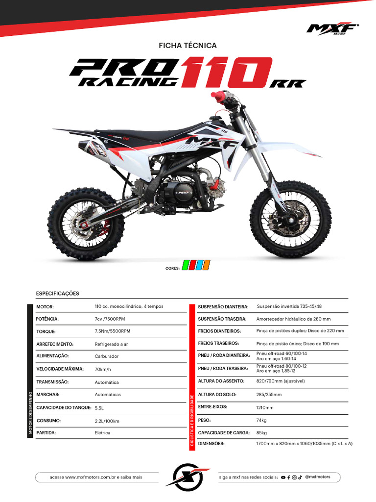 FICHA-TECNICA-110-2024_compressed | PDF