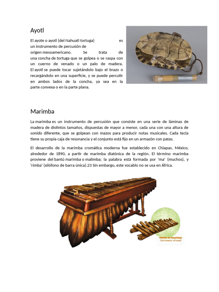 Instrumentos Autoctonos | PDF | Instrumentos musicales | Producción musical
