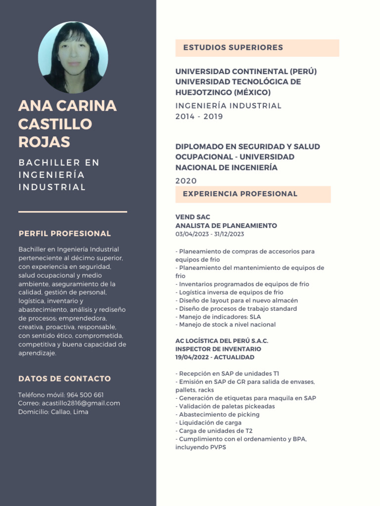 CV - Ana Carina Castillo Rojas | PDF