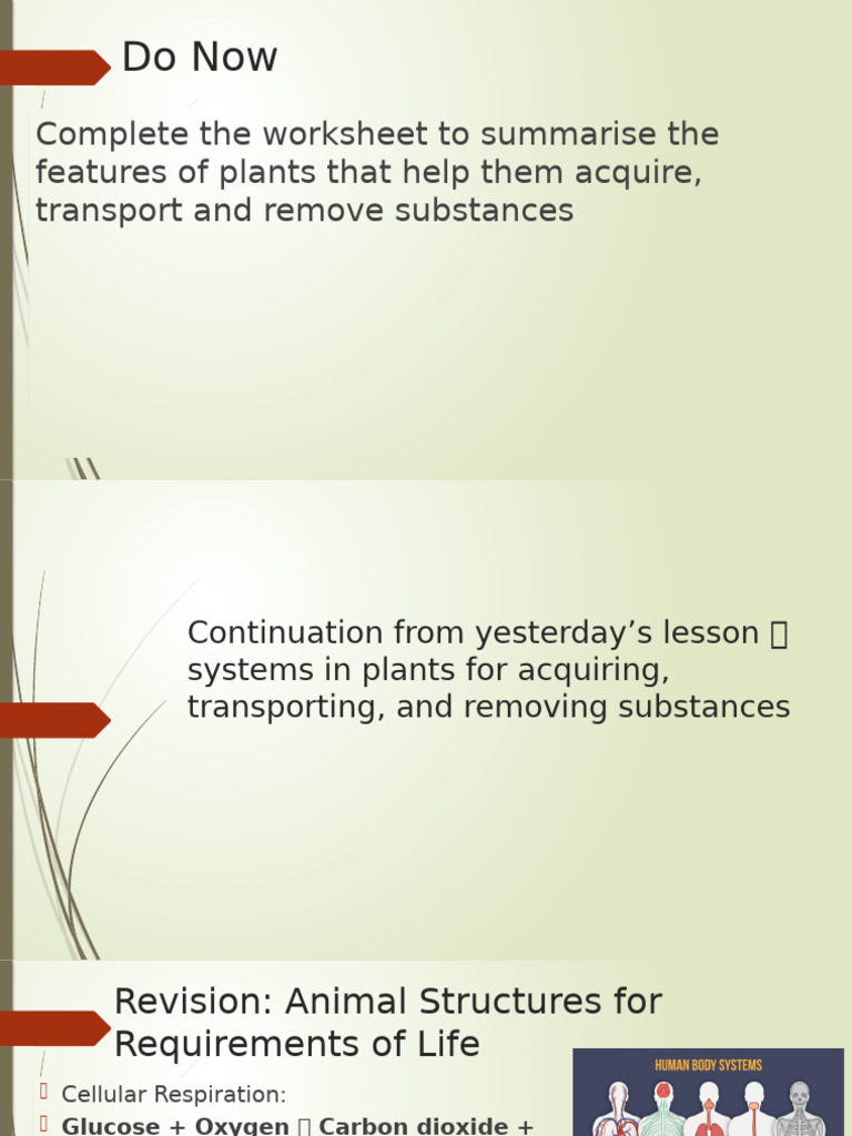 Year 9 Science W3 L2 Intro To Nervous System and Senses | PDF