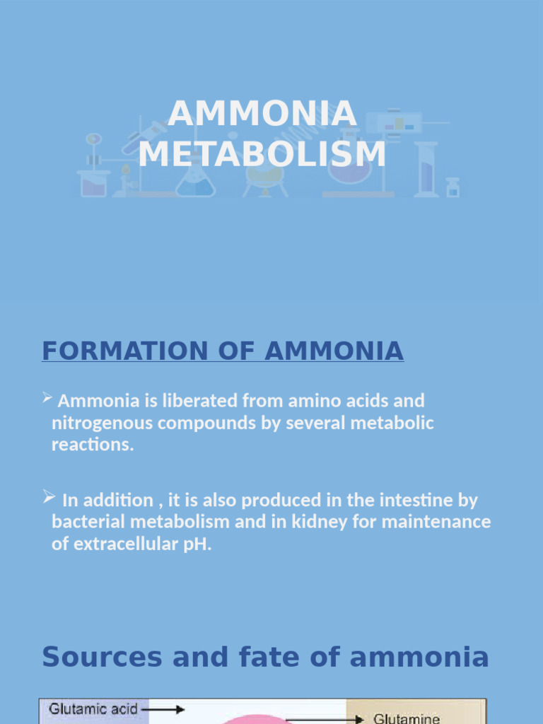 Ammonia Metabolism | PDF | Cooking, Food & Wine | Science & Mathematics