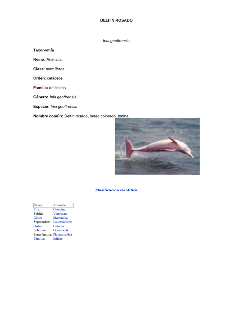 Delfin Colorado | PDF