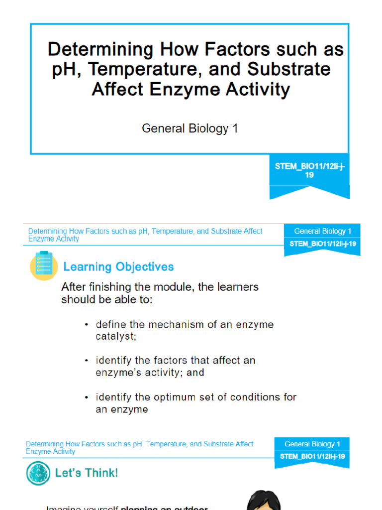 Factors Affecting Enzyme Activity | PDF