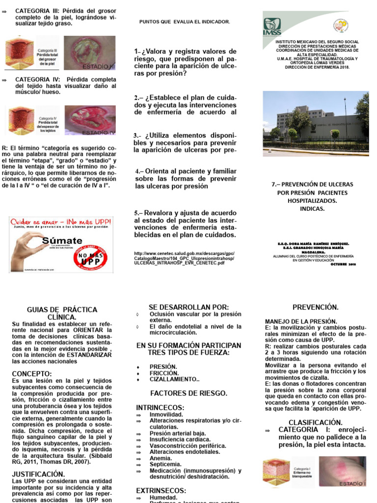 Triptico UPP | PDF