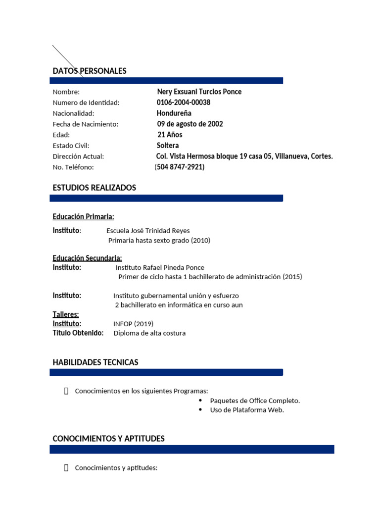 Curriculum Nery Ponce3 | PDF