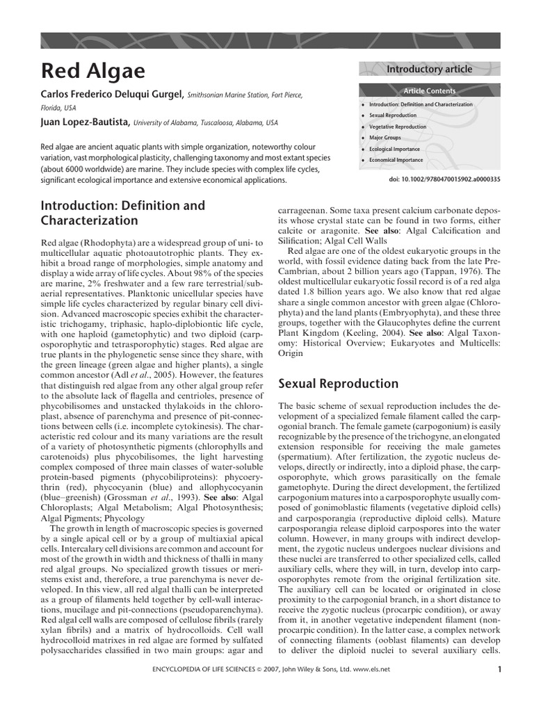 Red Algae | PDF