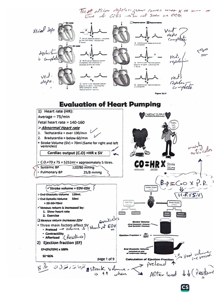 Cardiology 2 | PDF