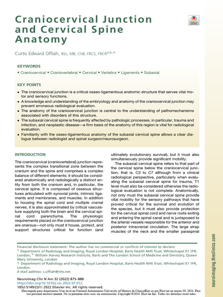 Craniocervical Junction ANATOMY | PDF