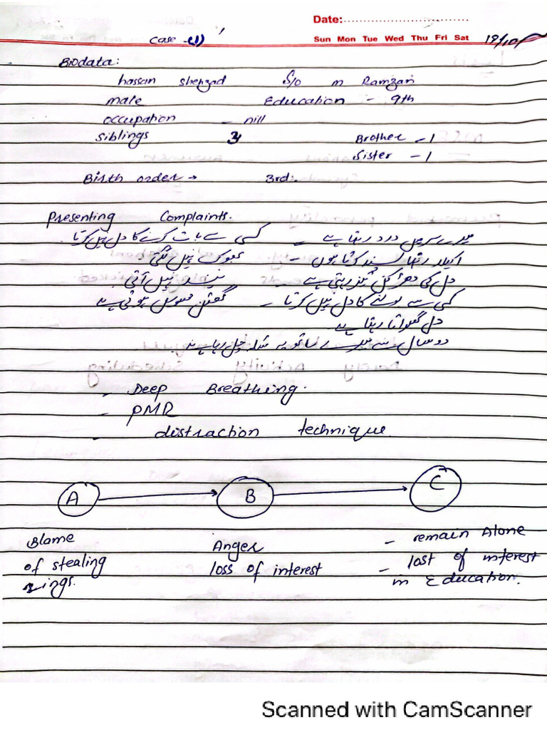 Daily Log Sample . | PDF