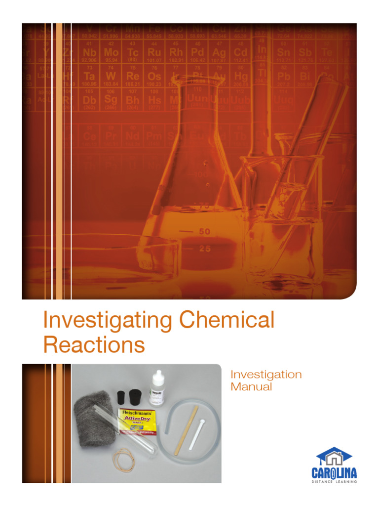 Investigating Chemical Reactions ADA | PDF