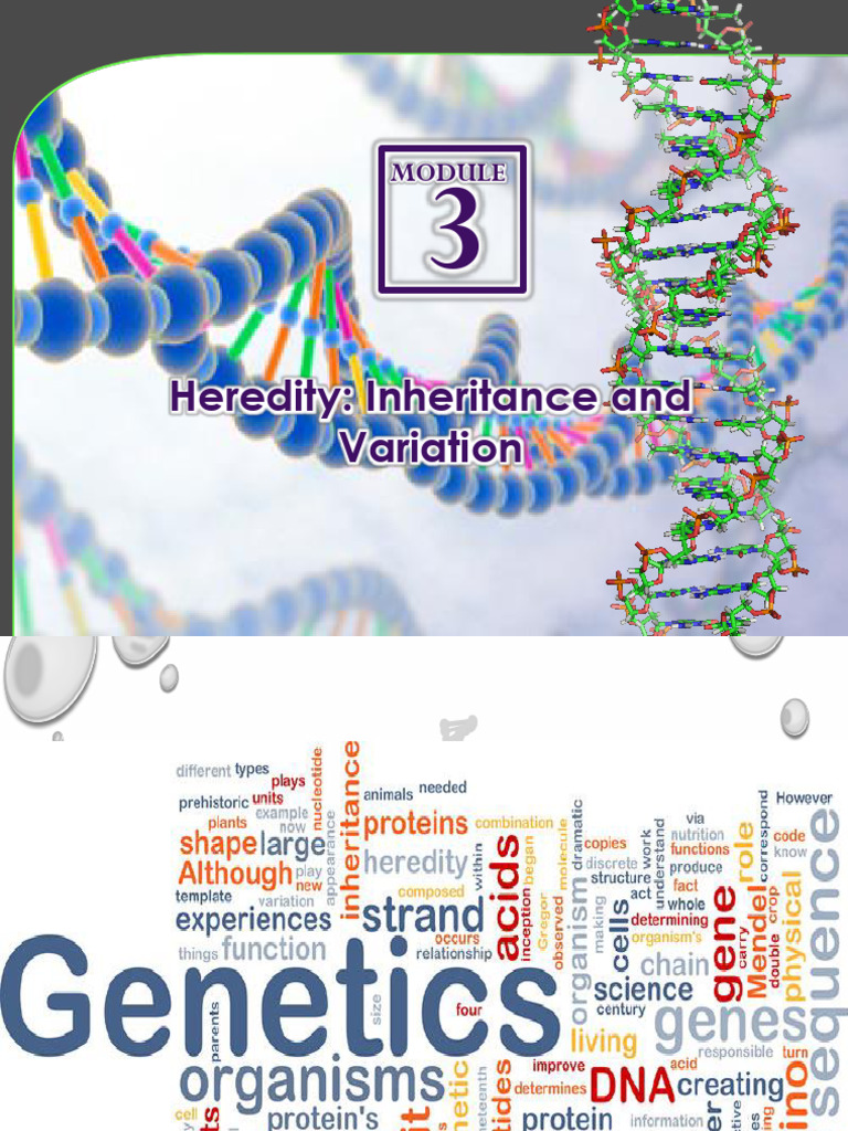Module-3-Heredity-Inheritance-and-Variation | PDF