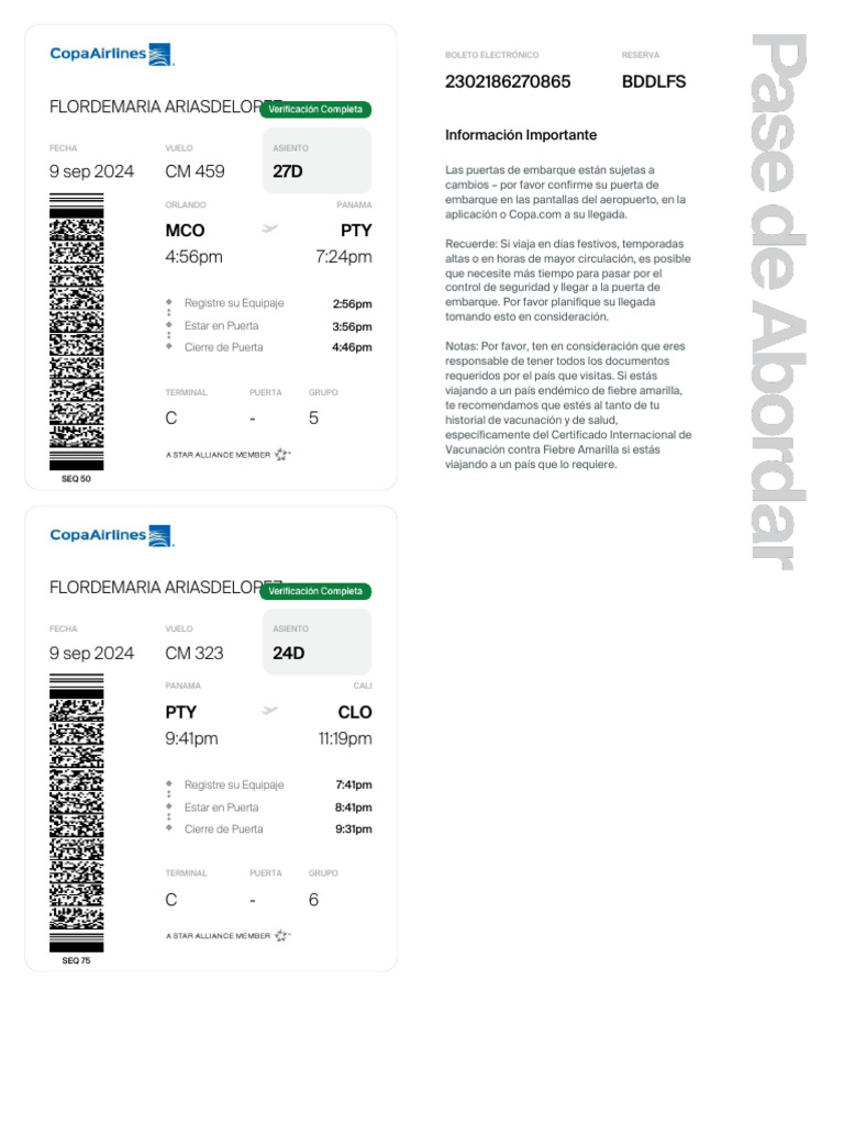 boardingPass (2) | PDF