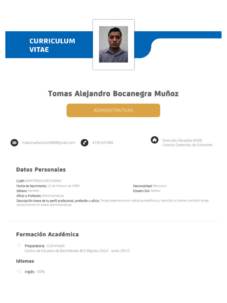 Tomas Bocanegra Cv | PDF