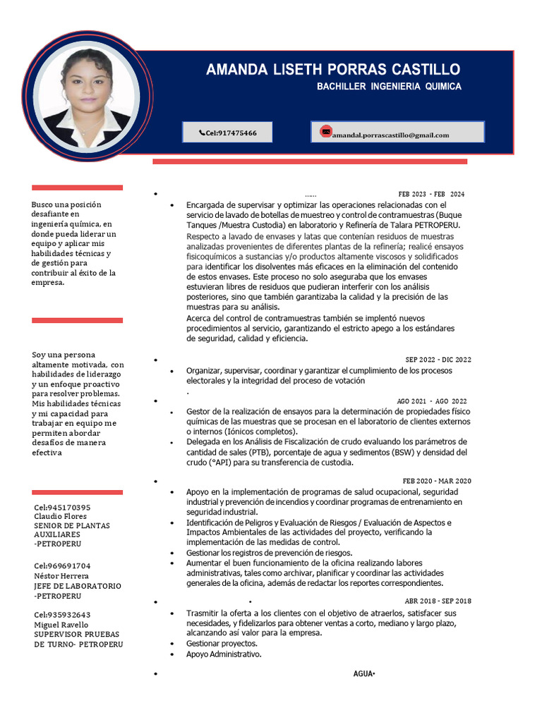 CV Amanda Porras Castillo (Original) | PDF