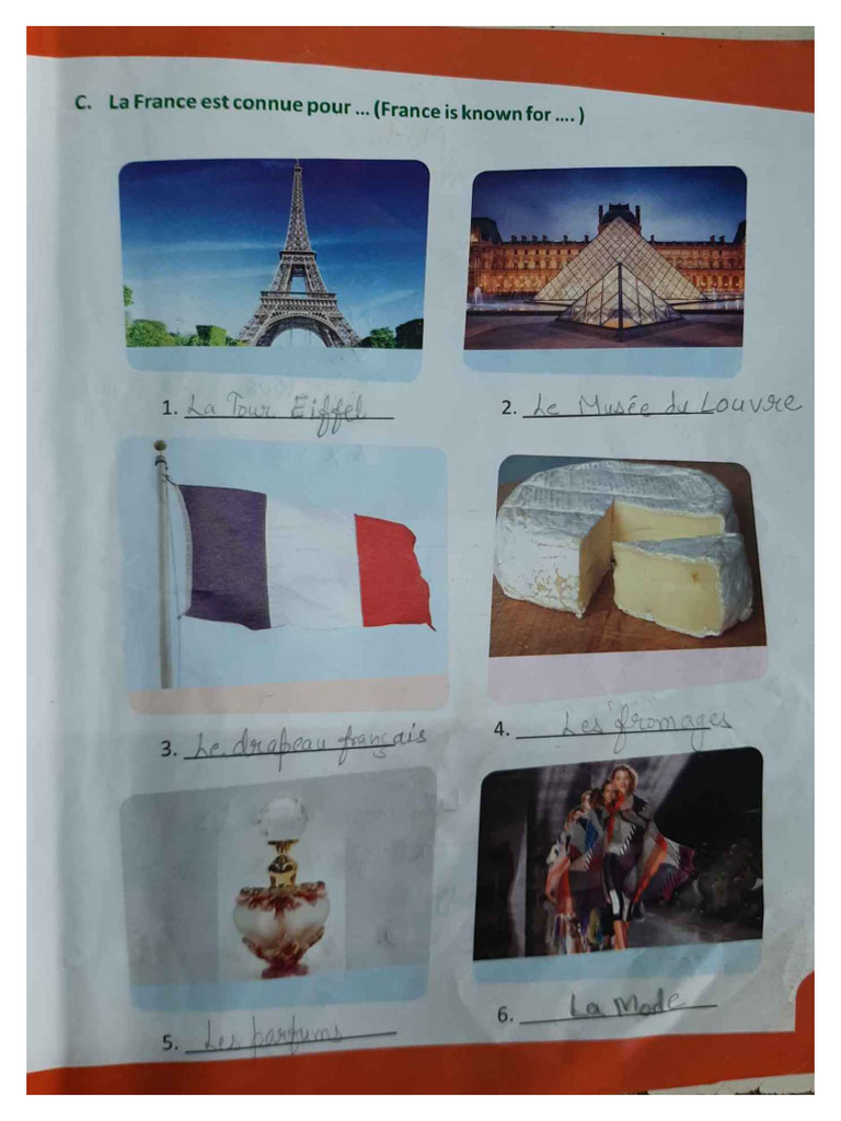 French - Back Exercise (V) | PDF