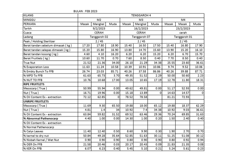 Rumusan Bunch Analisis Feb | PDF