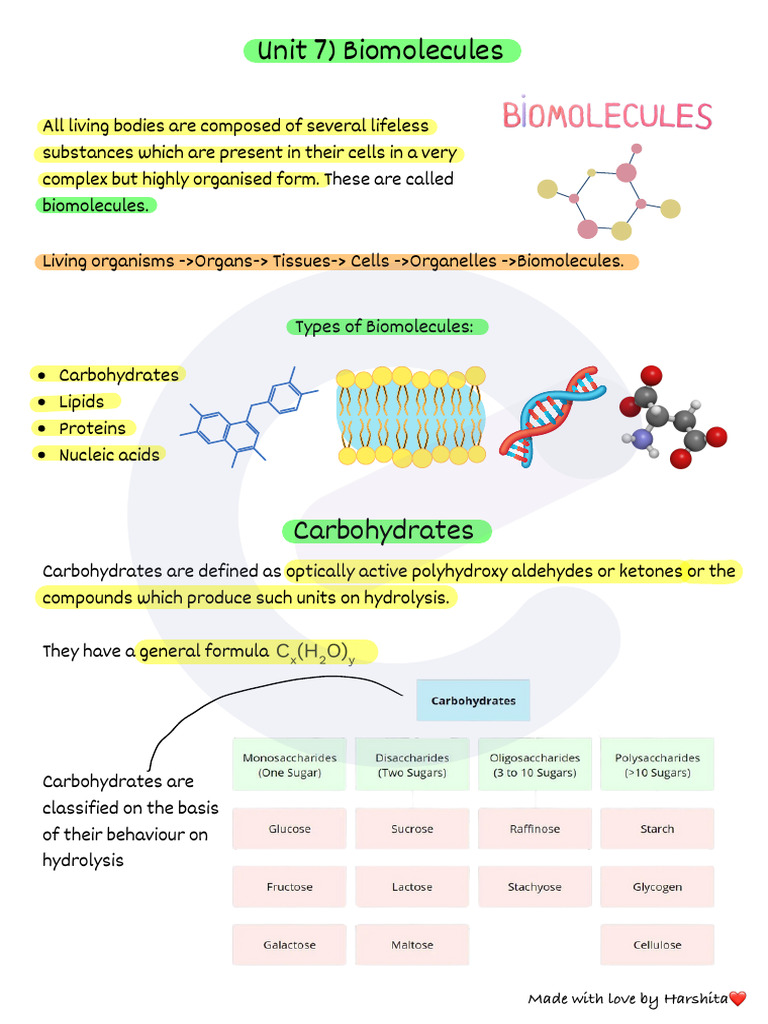 Biomolecules. | PDF | Carbohydrates | Proteins