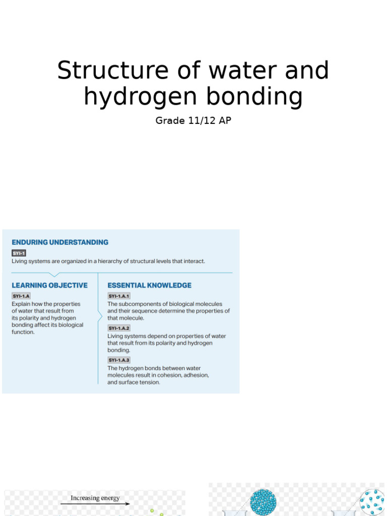 Unit 1 - Structure of Water and Hydrogen Bonding | PDF