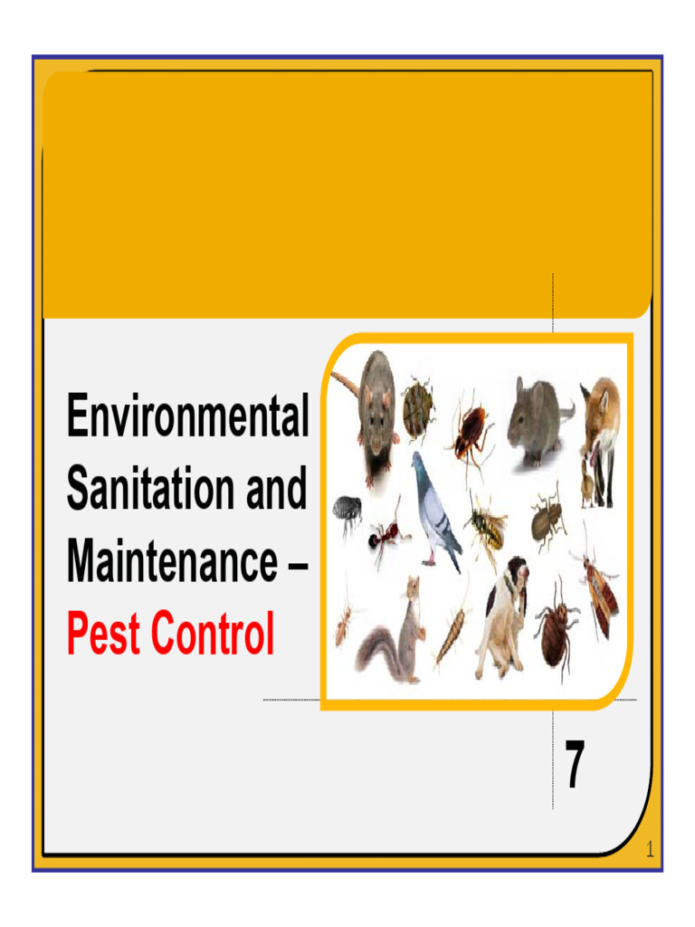 Environmental Sanitation and Pest Control | PDF