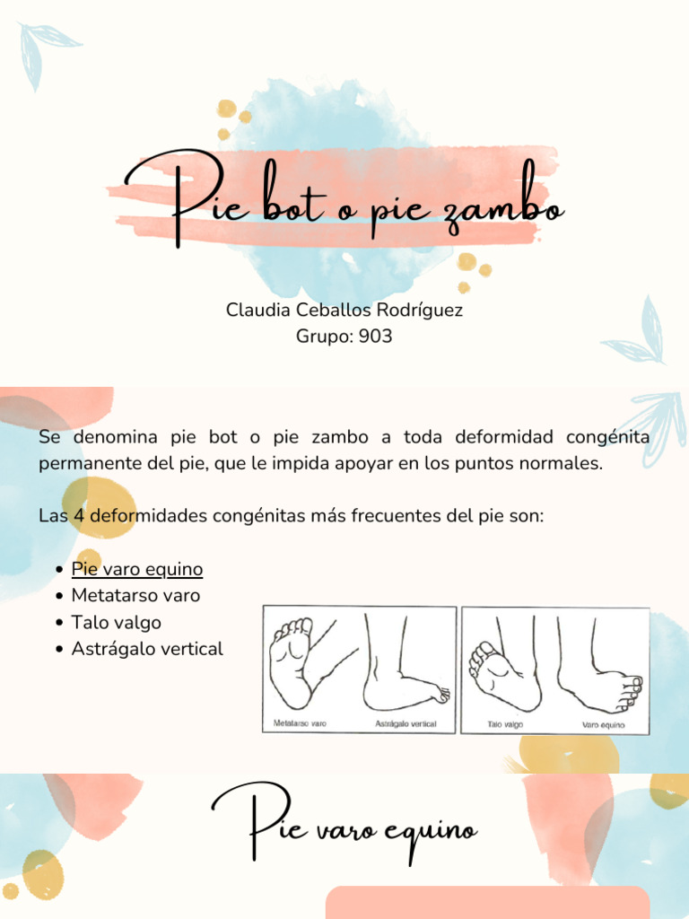 Pie Varo Equino | PDF