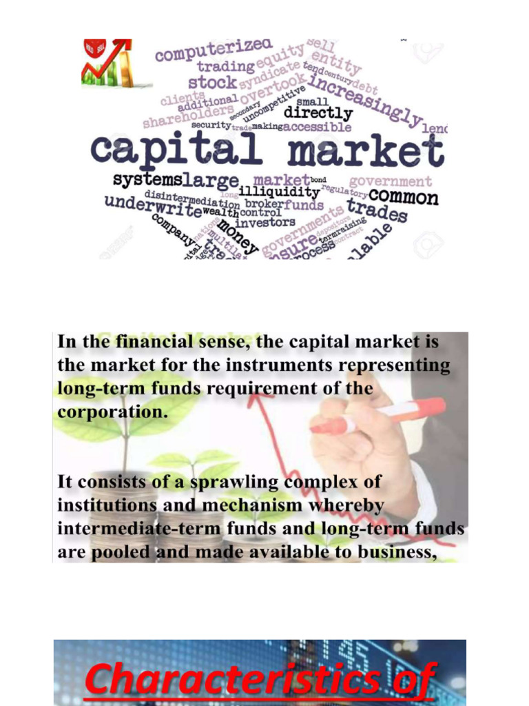 Capital Market | PDF