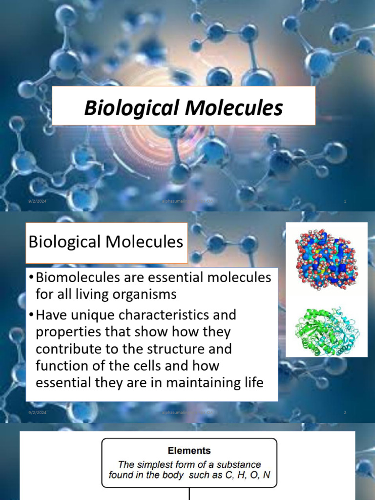 4 Biological Molecules | PDF