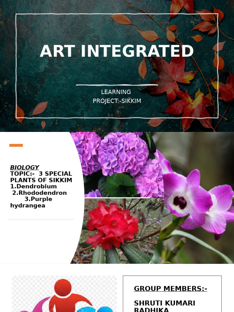 bio art integration project | PDF