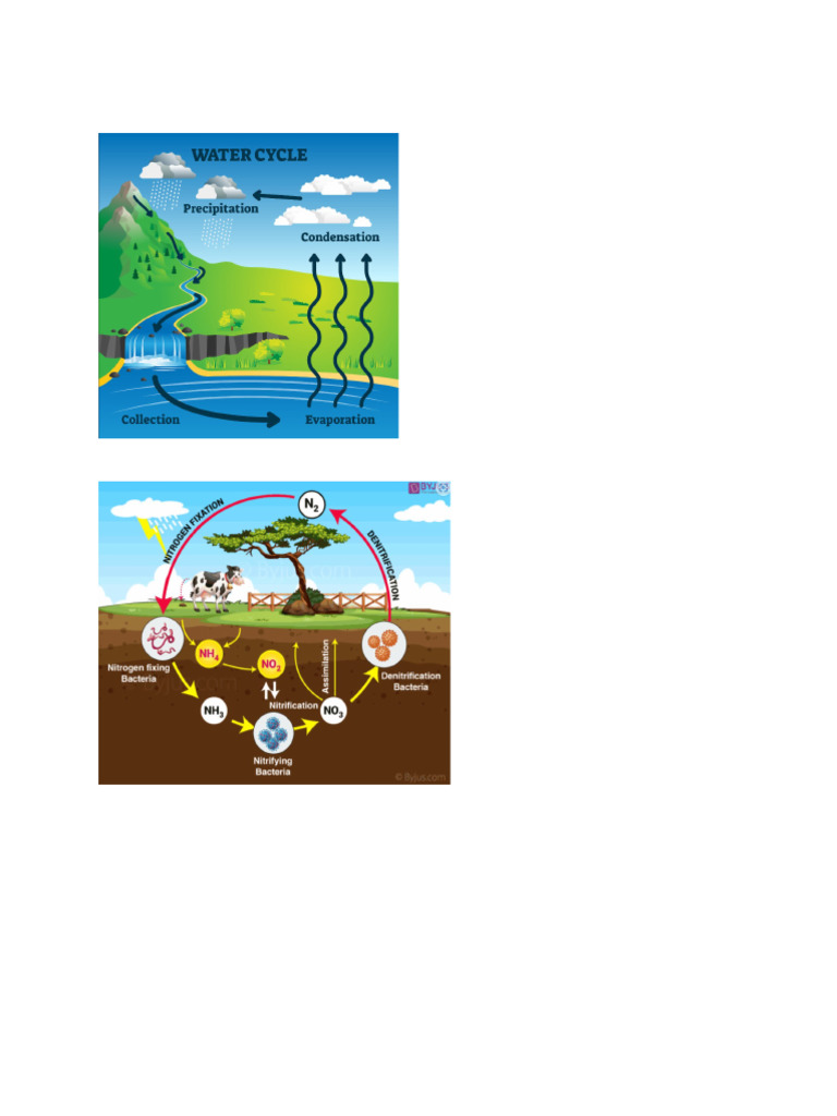 Module Shs | PDF