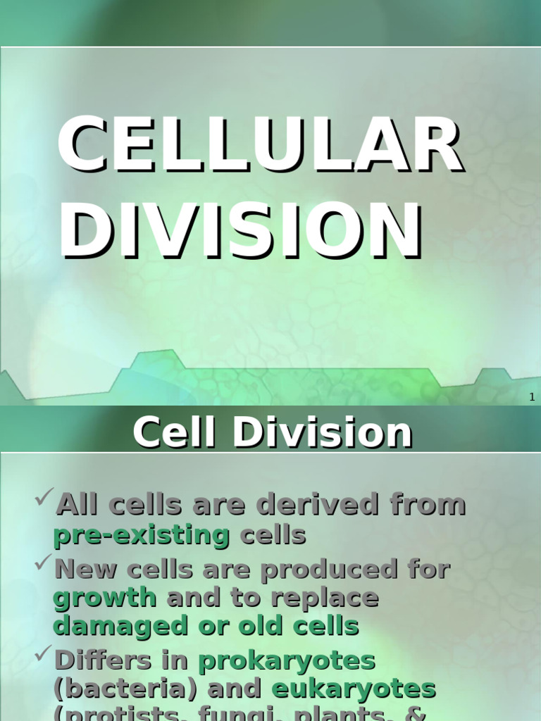 Cell Cycle Cell Division Edited | PDF