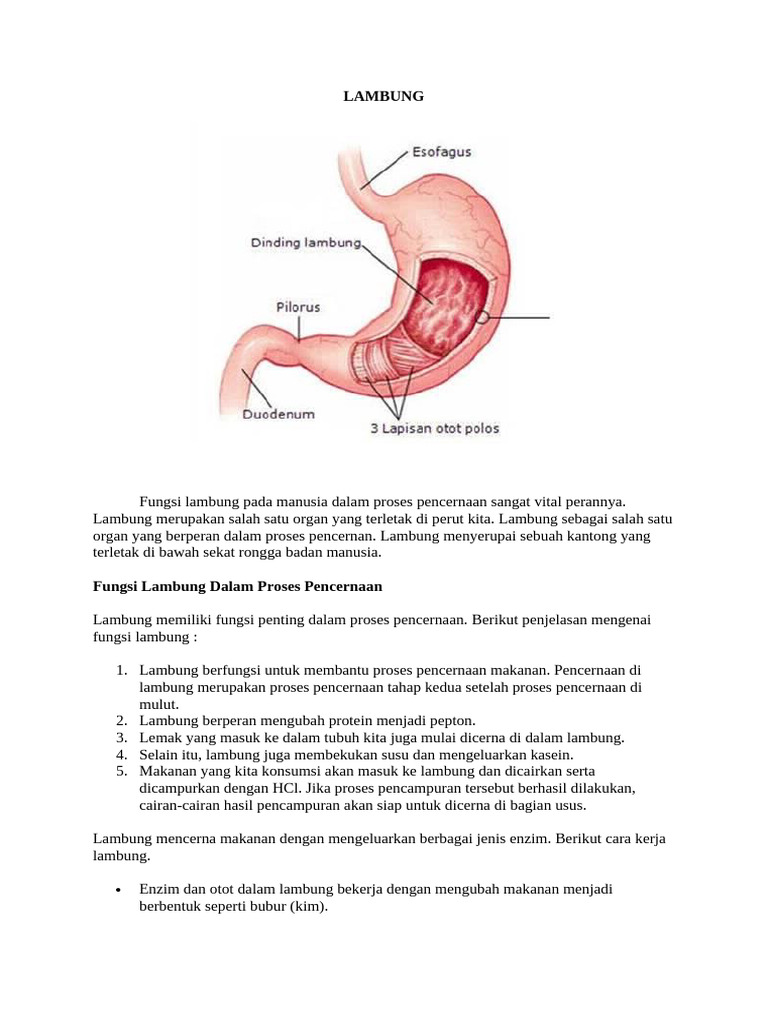 LAMBUNG | PDF