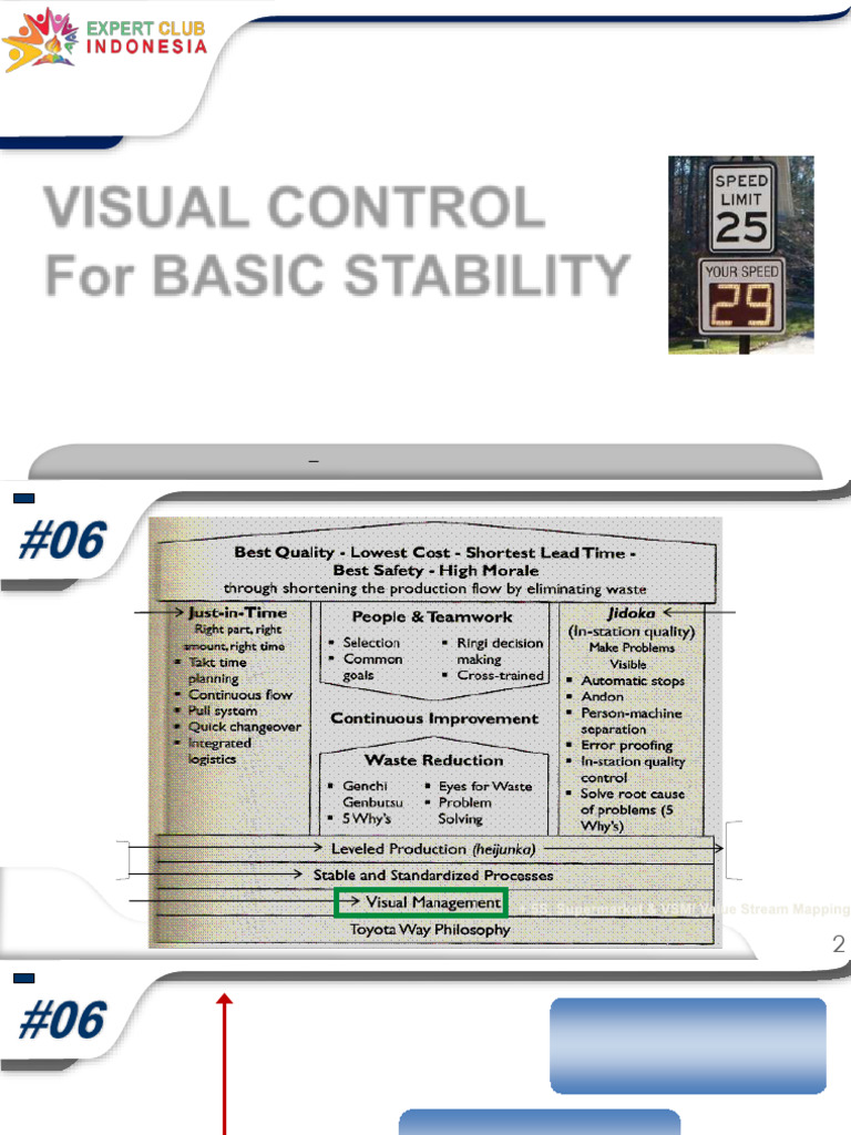 Visual Control For Basic Stability ECI - 020659 | PDF