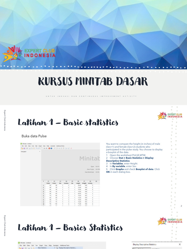 Basics Statistics - Minitab 19 - 015905 | PDF