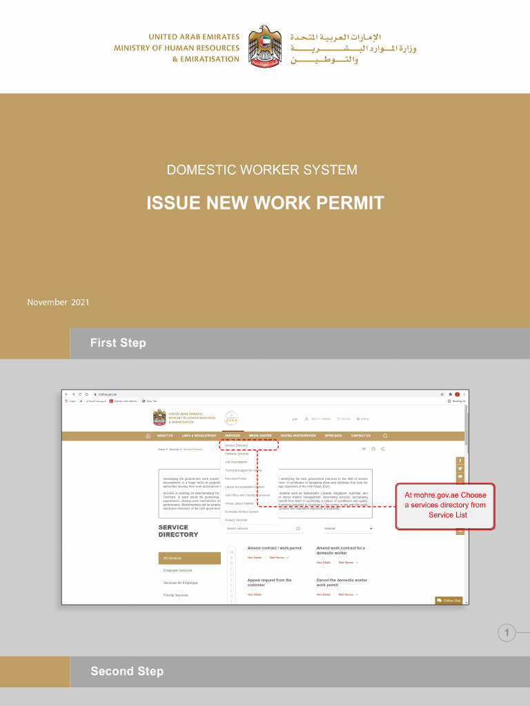 Issuing A Work Permit Domestic Worker - Aspx | PDF