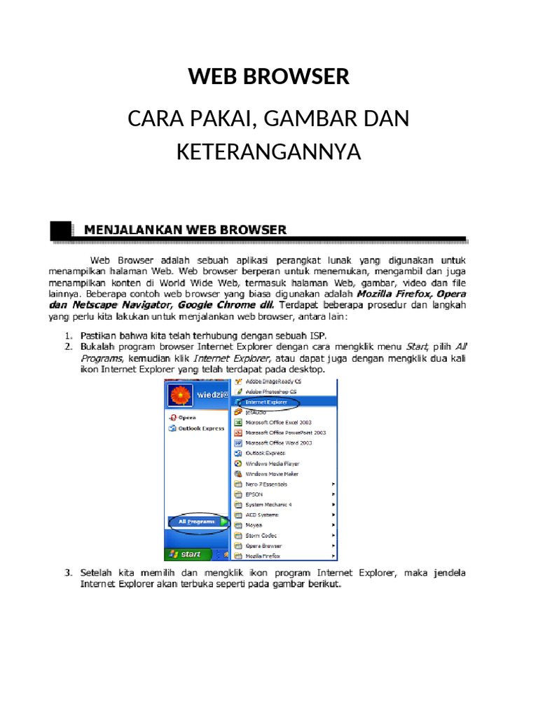 Web Browser | PDF