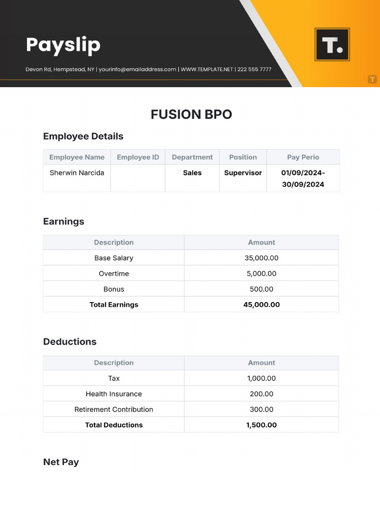 Payslip Templates - Edit Online & Download _ Template.net | PDF