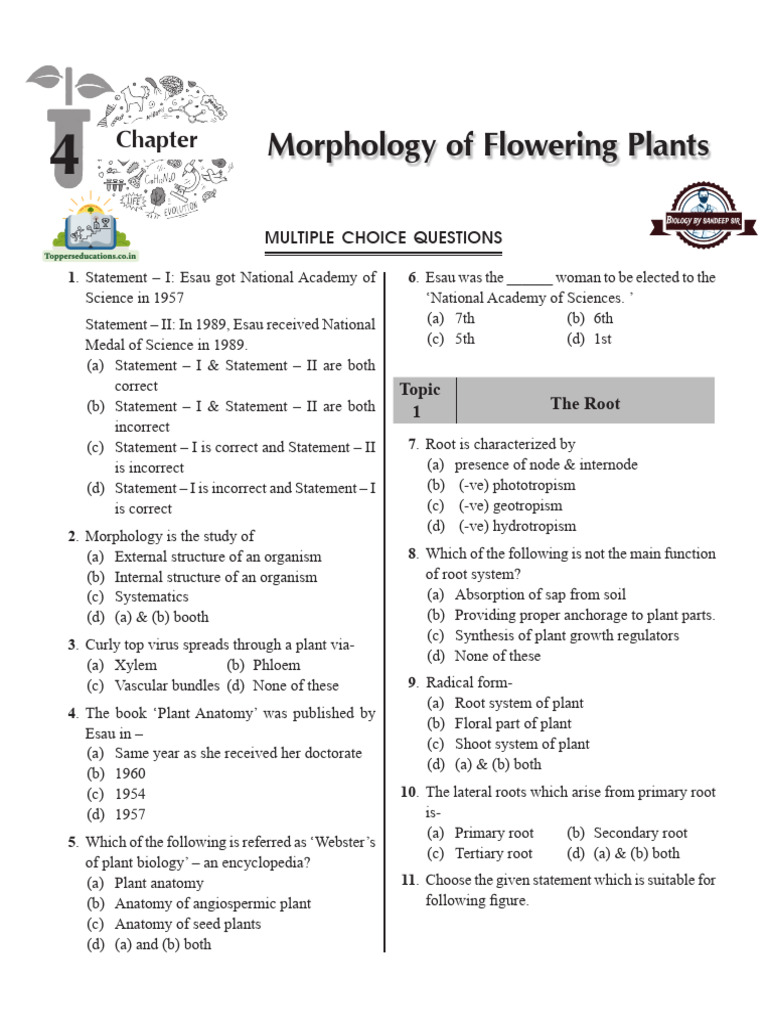 Morphology of Flowering Plants | PDF