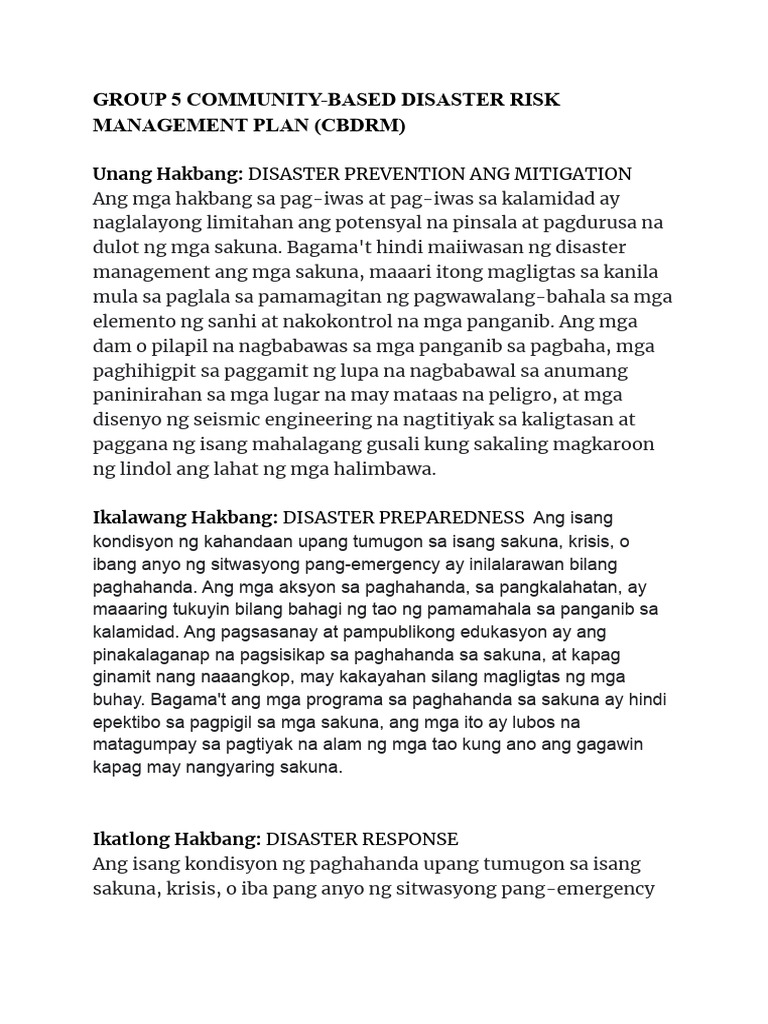 CBDRRM Plan Group 5 | PDF