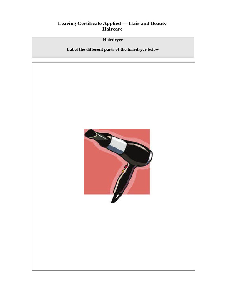 Hairdryer Parts for Students | PDF