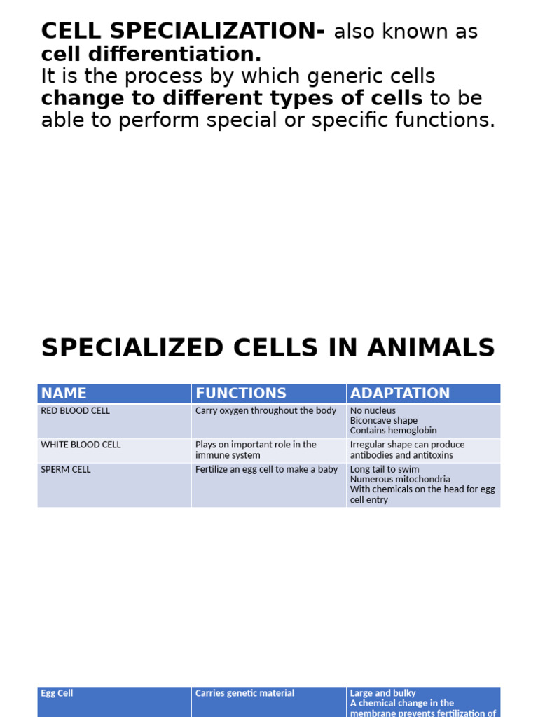 CELL-SPECIALIZATION-FINAL | PDF