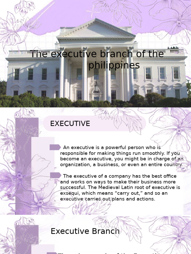 PPG Executive | PDF